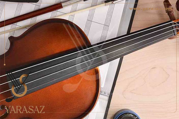 Complete Introduction to the Violin Family