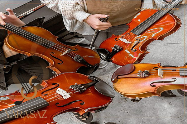 Complete Introduction to the Violin Family