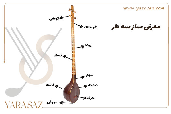Introduction, Identification, and Familiarization with the Setar