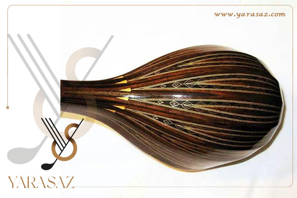 Introduction, Identification, and Familiarization with the Setar