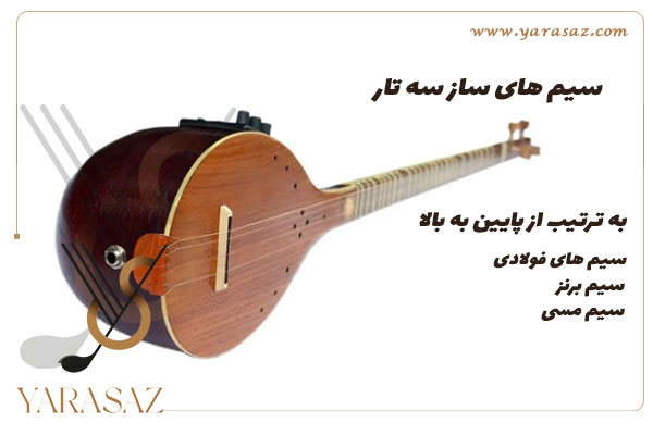 Introduction, Identification, and Familiarization with the Setar